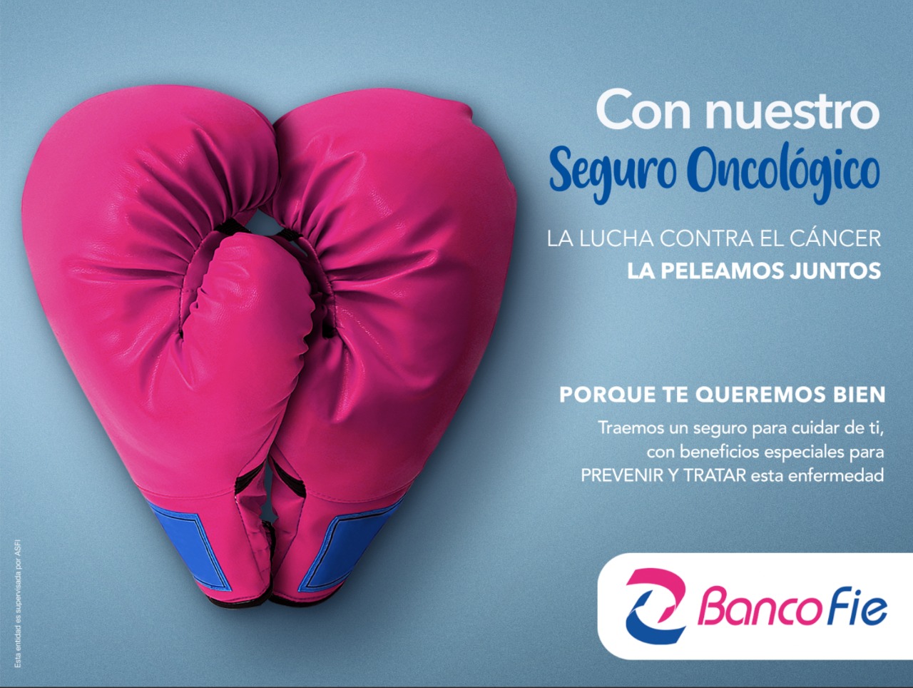 Banco FIE | Página web